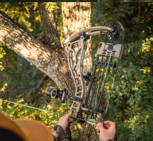 Proven 34 - Bowtech